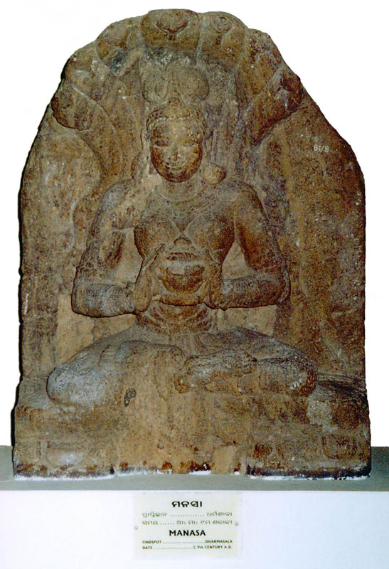 Waltraud Ganguly: Snake earrings of India